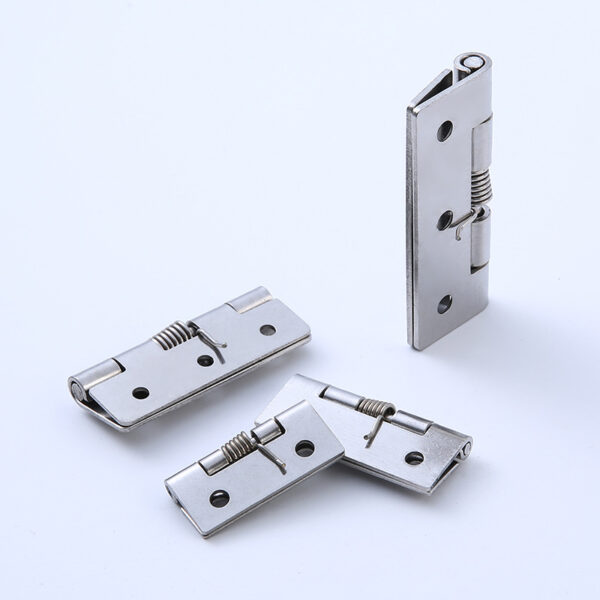 8 Things You Need to Know About Custom Spring Hinges - China industrial ...